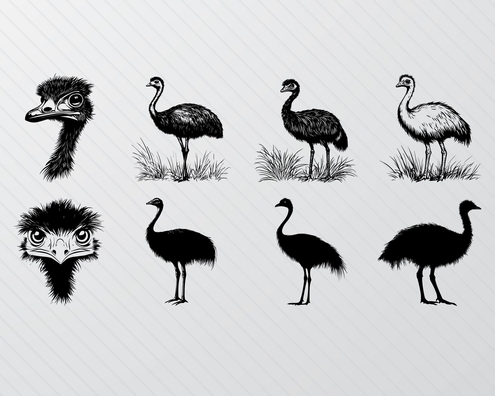 Emu Svg Cut Files, Australian Emu Silhouette Png, Emu Vector Art, Emu ...