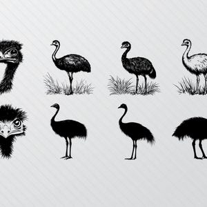Emu Svg Cut Files, Australian Emu Silhouette Png, Emu Vector Art, Emu ...