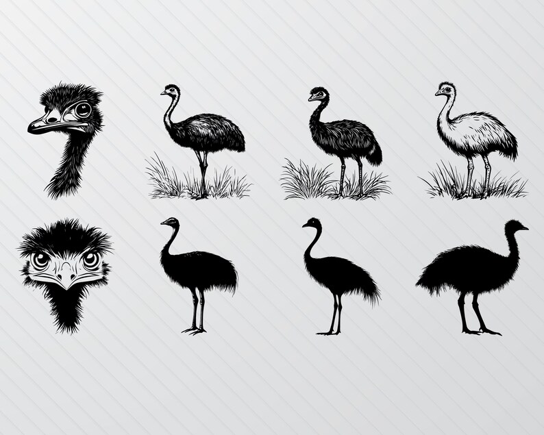 Emu Svg Cut Files, Australian Emu Silhouette Png, Emu Vector Art, Emu ...