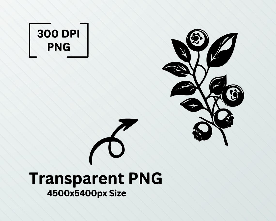 Blueberry Clipart: 58 SVG & PNG Files, Fruit Designs - Etsy