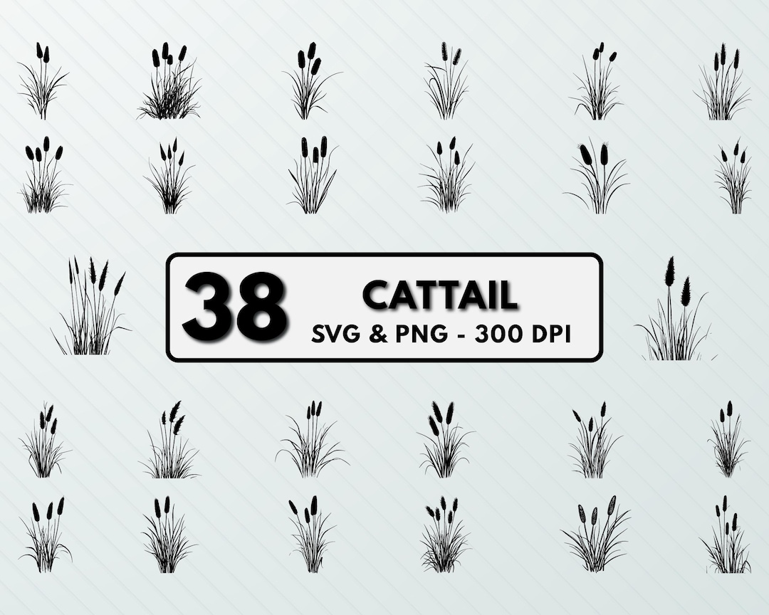 Cattail Svg Png, Cattail Clipart, Cattail Silhouette, Cattail Vector ...