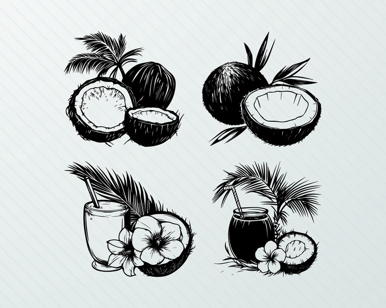 Coconut Clipart: Tropical SVG PNG Vector Designs (digital Download) - Etsy