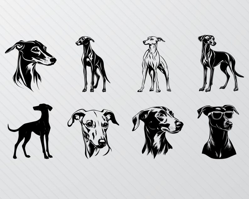 Greyhound Silhouette Svg, Greyhound Dog Svg Bundle, Dogs Clipart ...