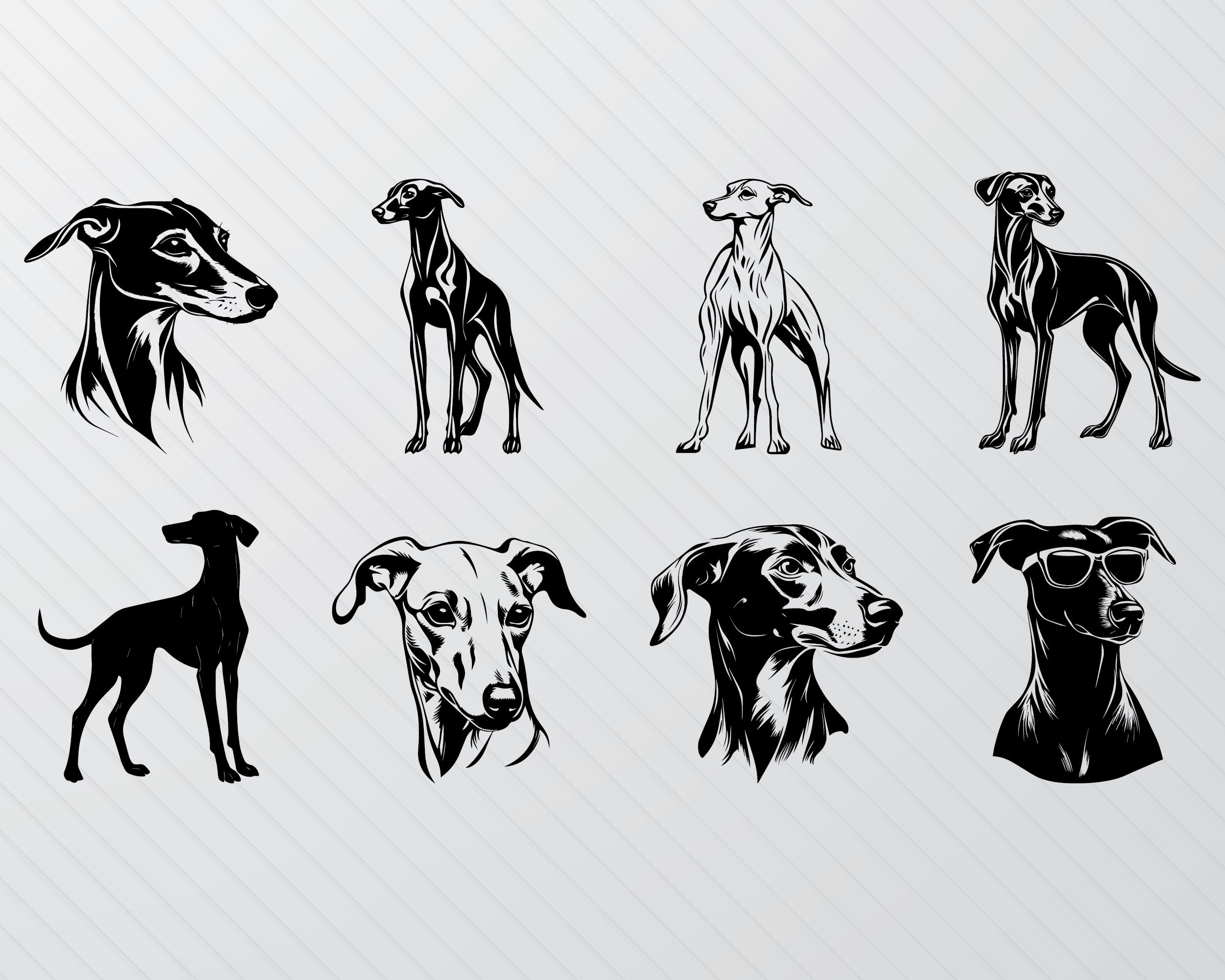Greyhound Silhouette Svg, Greyhound Dog Svg Bundle, Dogs Clipart ...