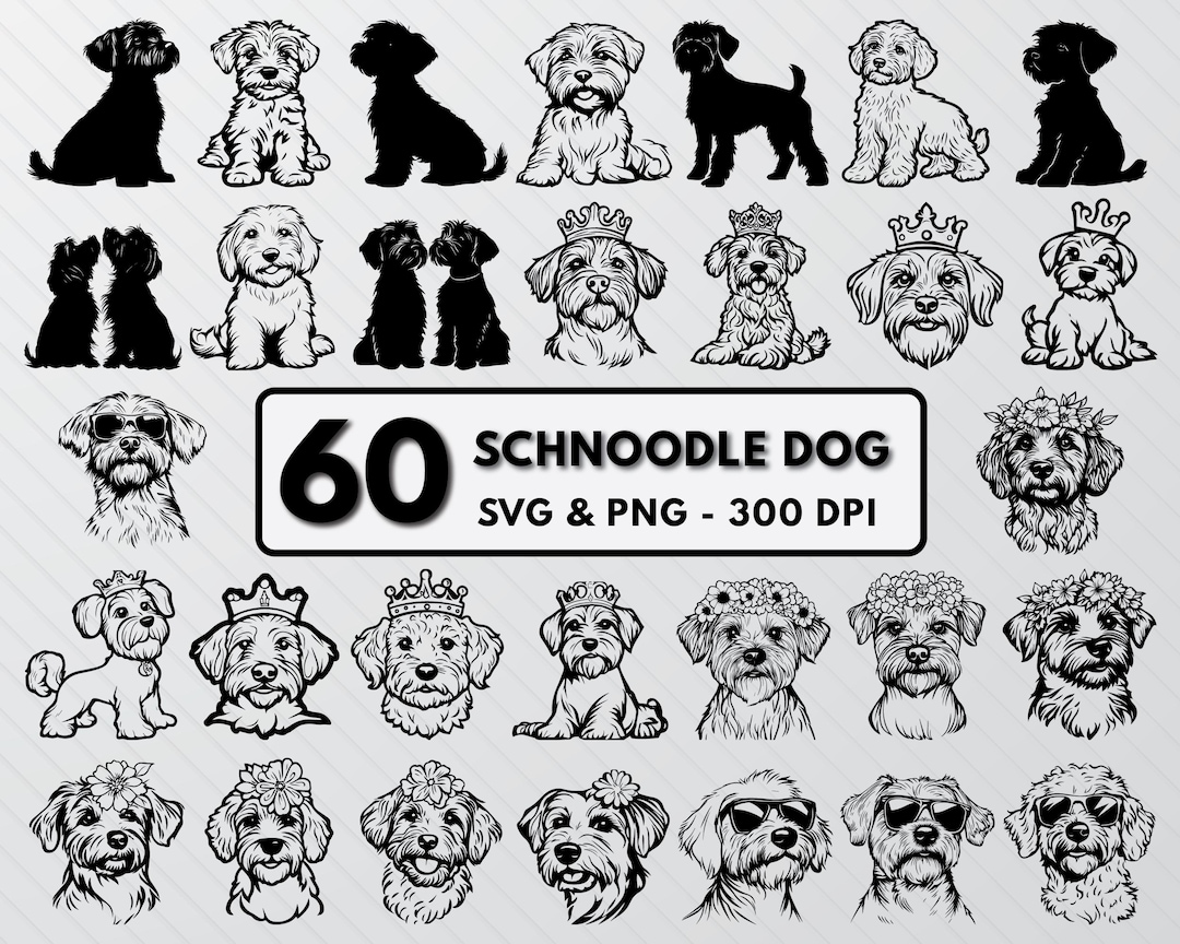 Schnoodle Dog Svg, Schnoodle Silhouette Svg, Dogs Clipart, Schnoodle ...