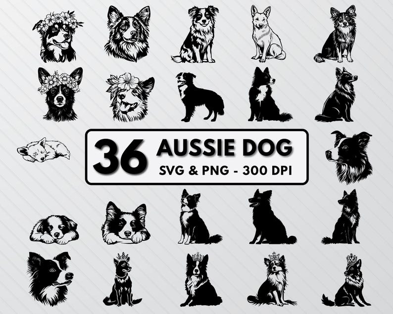 Australian Shepherd Dog SVG Bundle: Aussie Clipart, Vector Art (PNG) - Etsy