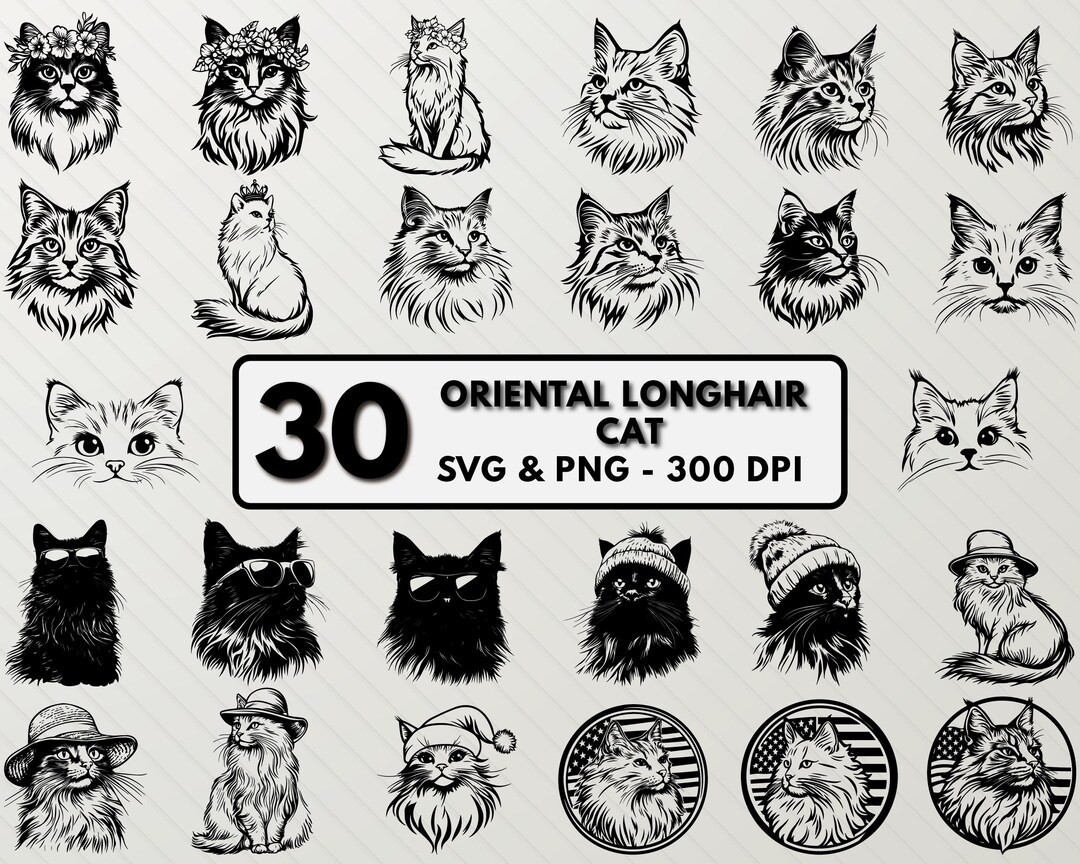 Oriental Longhair Cat SVG Bundle: Silhouette Clipart (PNG, Vector) - Etsy