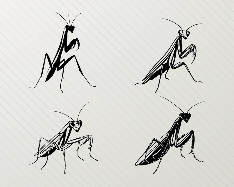 Praying Mantis Svg Bundle, Praying Mantis Silhouette, Mantis Svg Vector ...