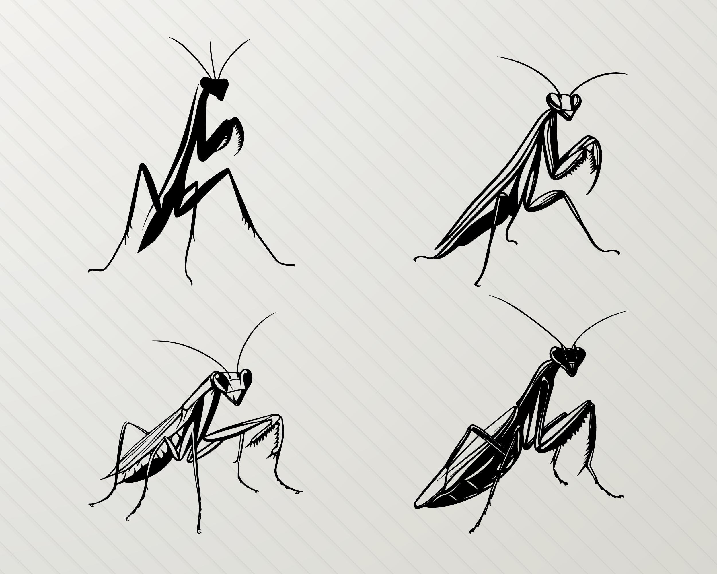 Praying Mantis Svg Bundle, Praying Mantis Silhouette, Mantis Svg Vector ...
