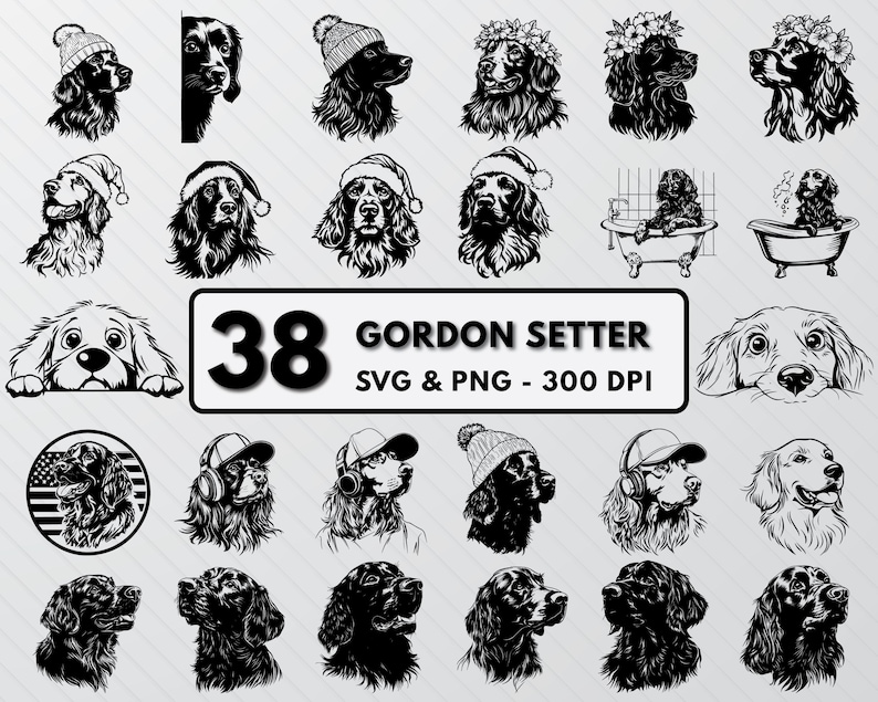 Gordon Setter Svg Bundle, Gordon Setter Dog Silhouette, Gordon Setter ...