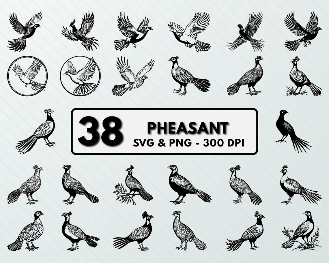 Pheasant SVG PNG Clipart: 58 Vector Cut Files (300 DPI) - Etsy