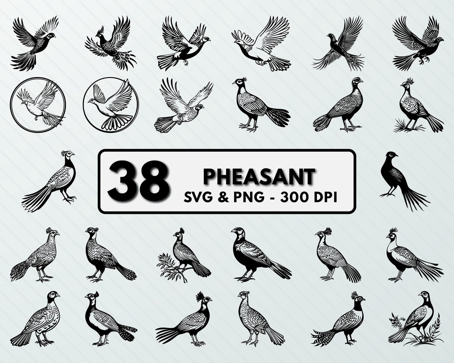 Pheasant SVG PNG Clipart: 58 Vector Cut Files (300 DPI) - Etsy