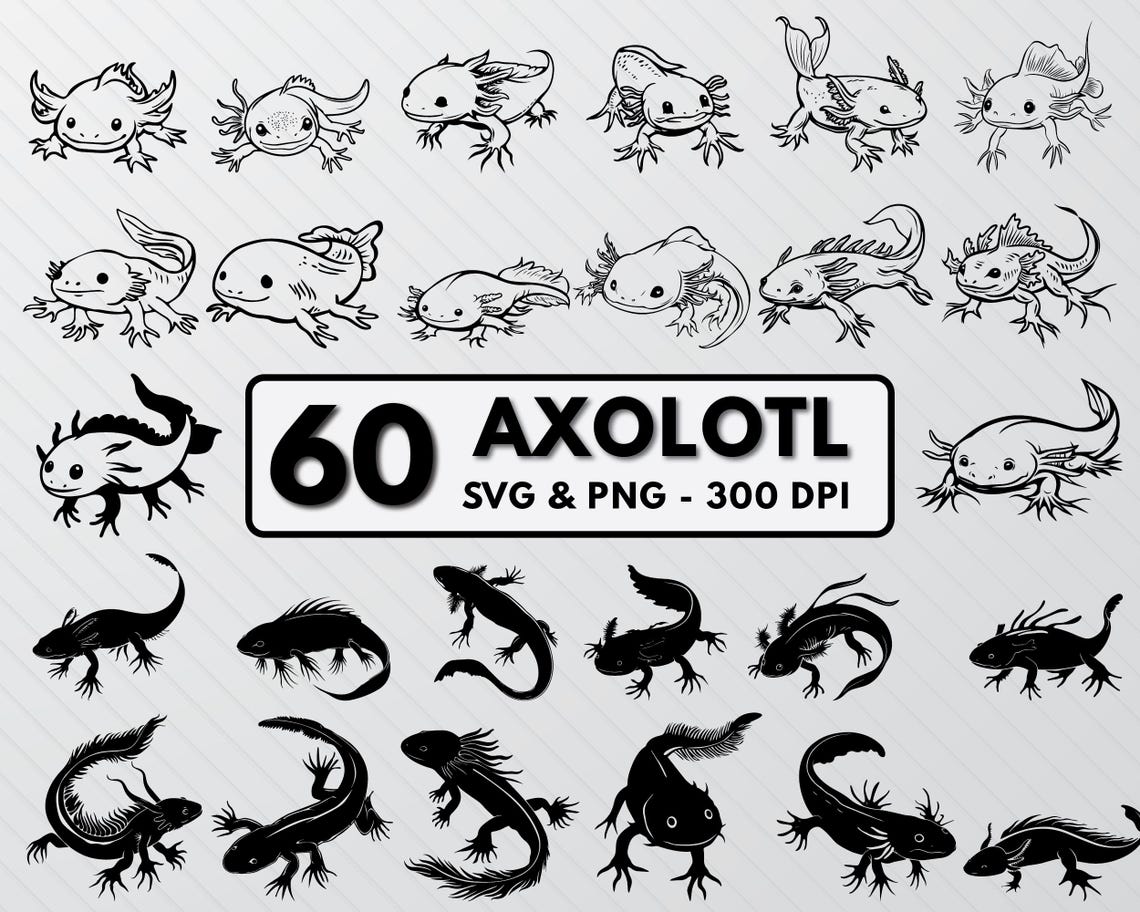 Axolotl Silhouette Svg, Axolotl Svg Cut File, Axolotl Clipart, Axolotl ...