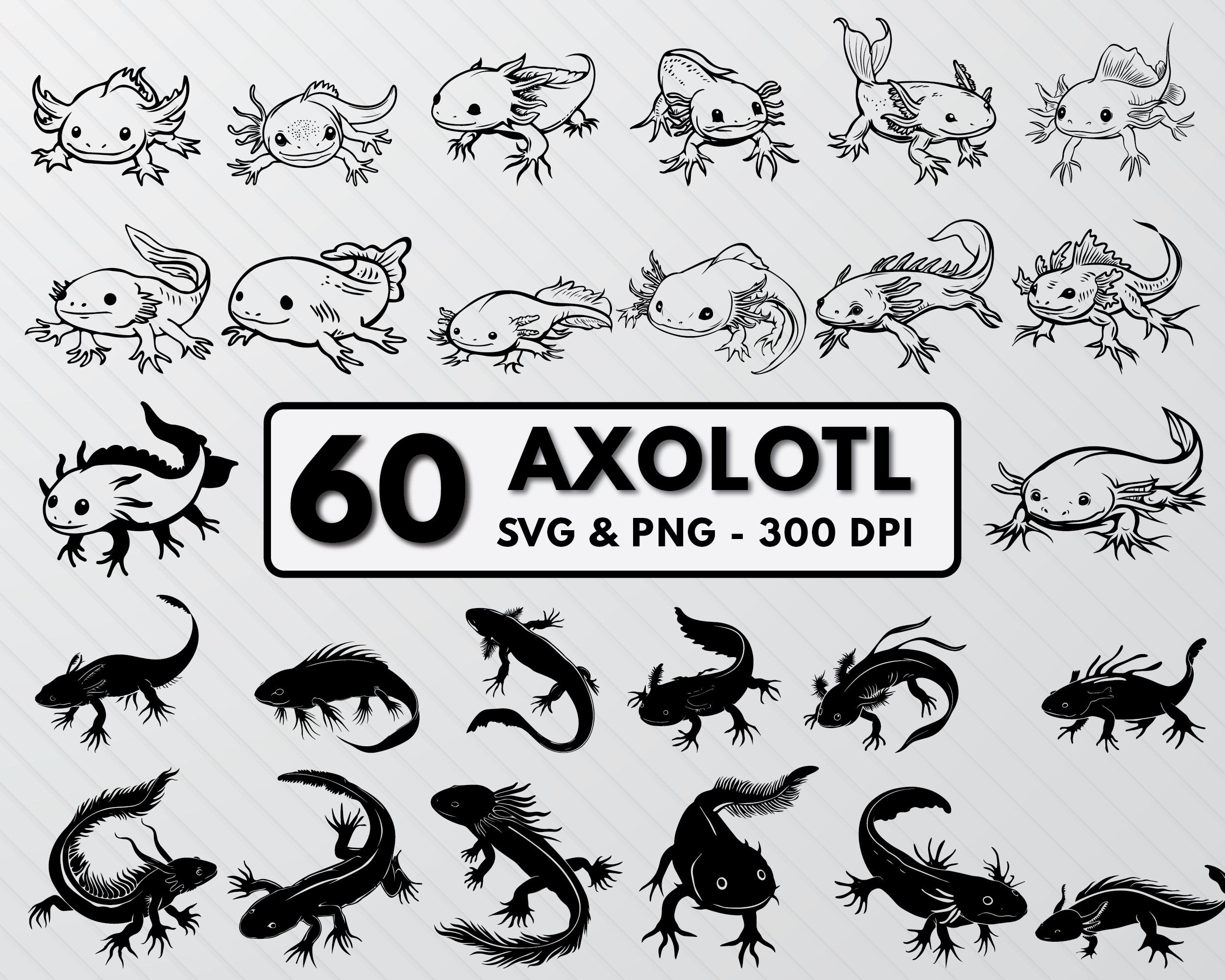 Axolotl Silhouette Svg, Axolotl Svg Cut File, Axolotl Clipart, Axolotl ...