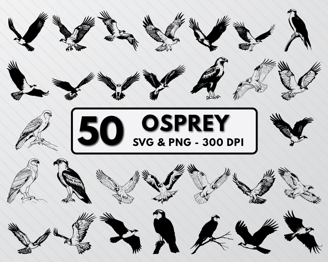 Osprey Silhouette Vector, Osprey Svg Bundle Clipart, Osprey Png File ...