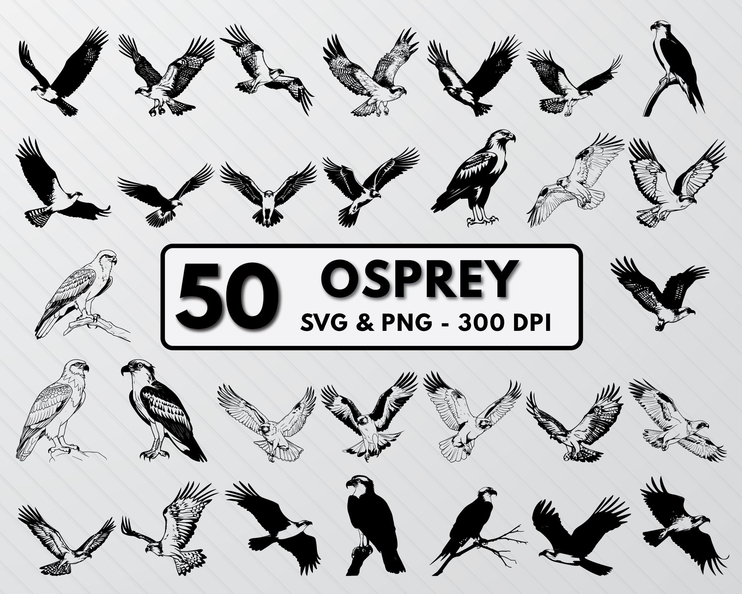 Osprey Silhouette Vector, Osprey Svg Bundle Clipart, Osprey Png File ...