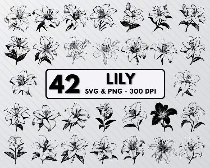 Lily Flower SVG Bundle: Floral Clipart, Silhouette, Cut Files - Etsy