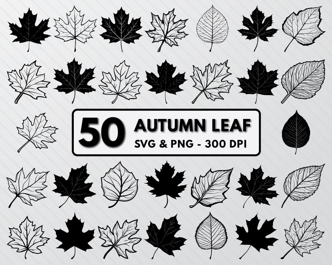 Autumn Leaf Silhouette Svg, Autumn Leaf Svg Bundle, Autumn Leaves ...