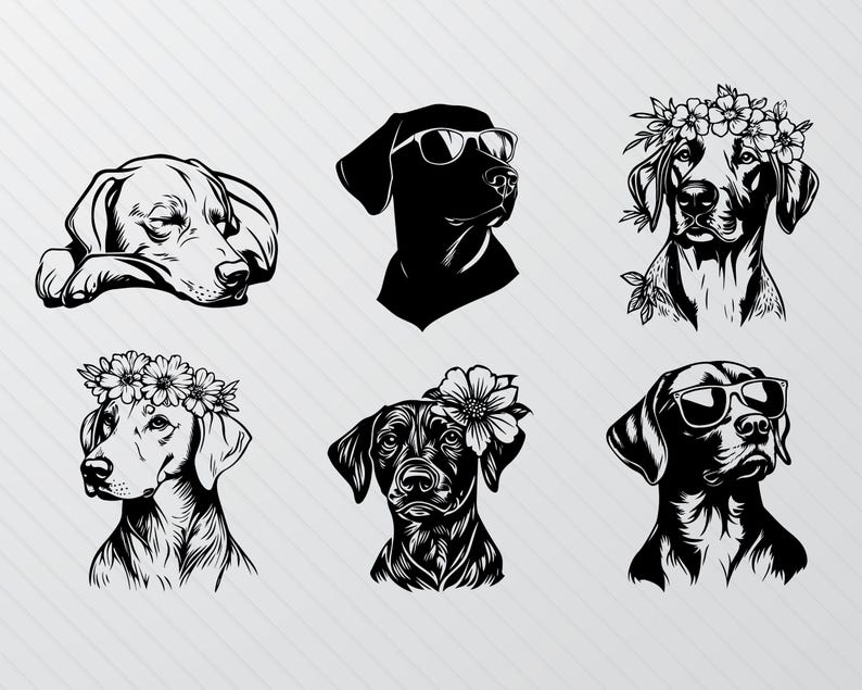 Plott Hound Svg Bundle, Plott Hound Silhouette Art, Dog Heads Vector ...