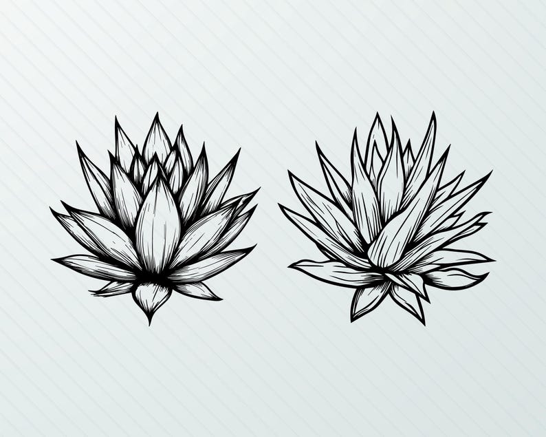 Agave Plant SVG PNG: Clipart Silhouette Vector Cut Files - Etsy