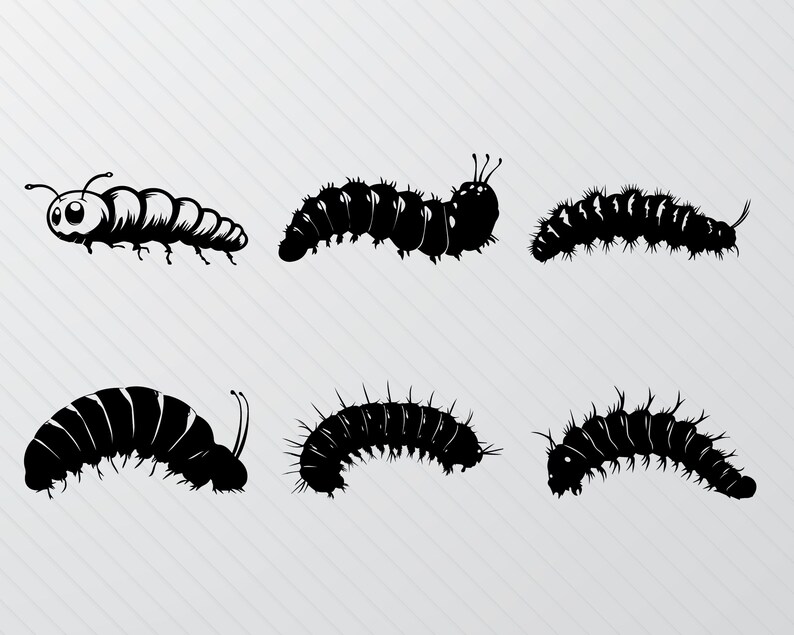 Caterpillar Svg Bundle, Caterpillar Silhouette, Spring Caterpillar ...