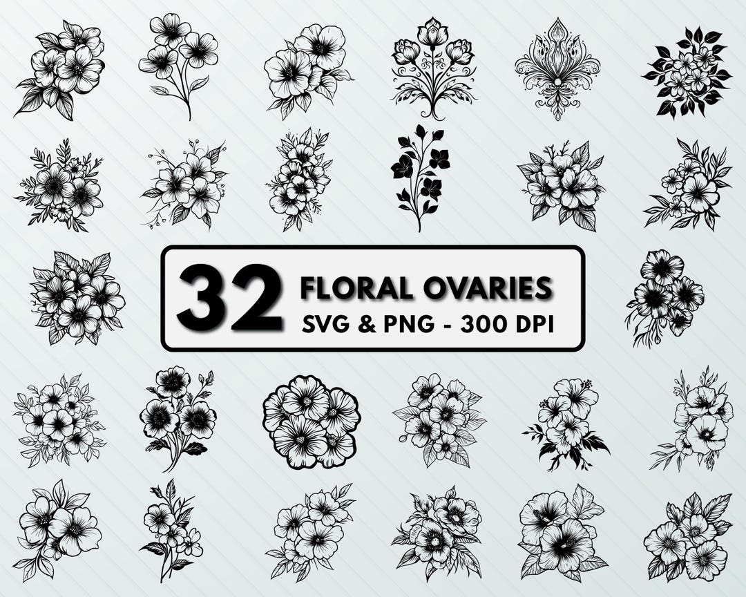 Floral Ovaries SVG Clipart: Anatomy Line Art (digital Download) - Etsy