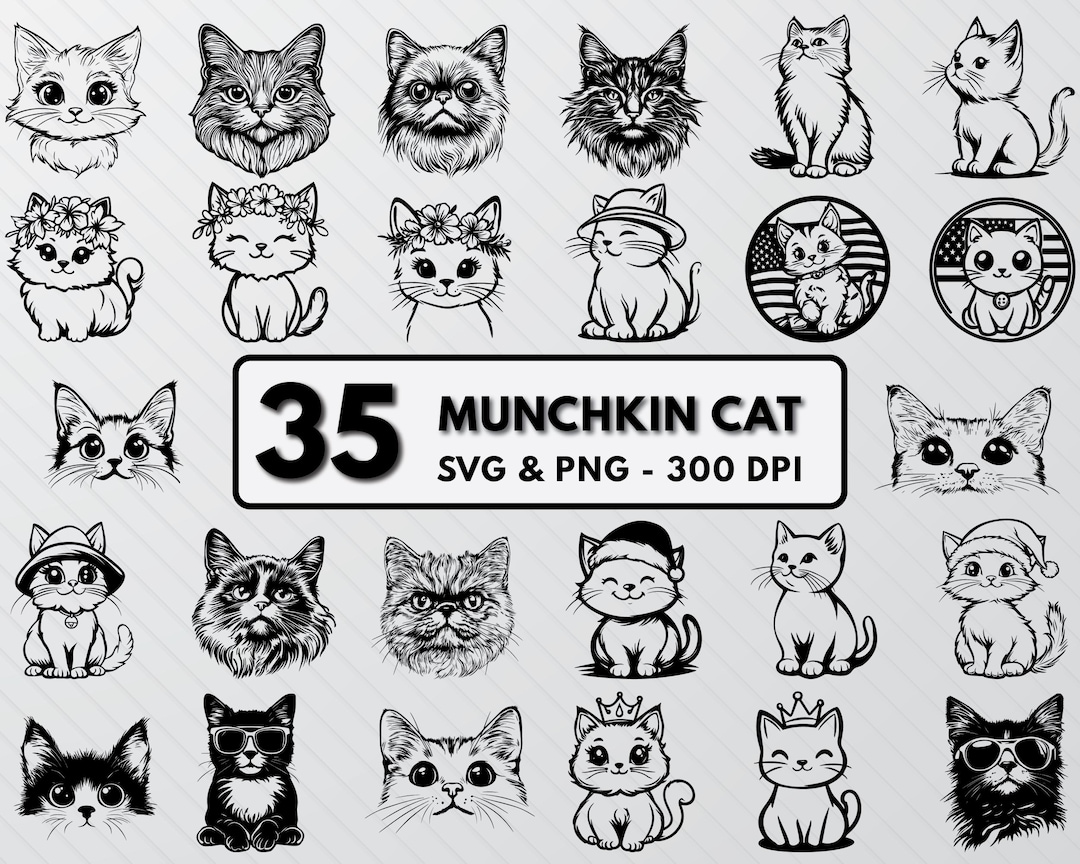 Munchkin Cat Svg Bundle, Munchkin Cat Silhouette Png, Cat Breeds Svg ...
