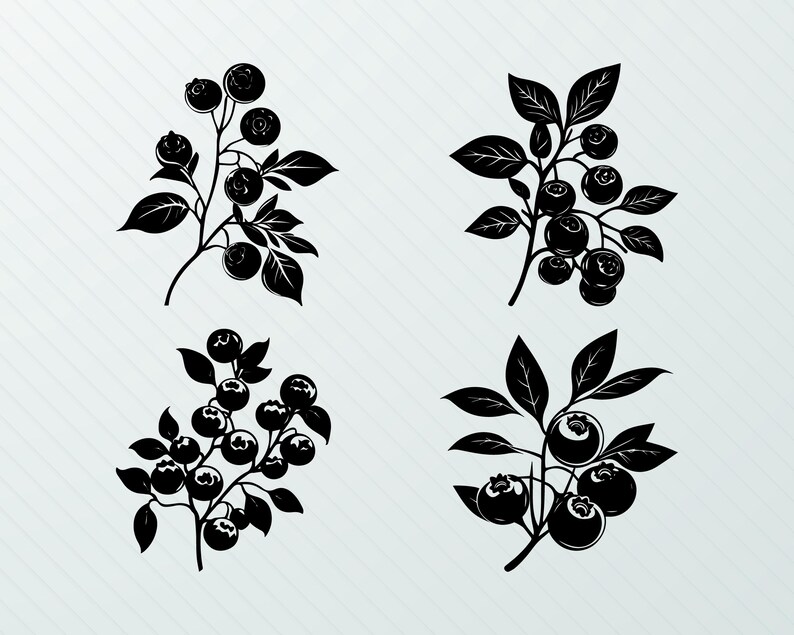 Blueberry Clipart: 58 SVG & PNG Files, Fruit Designs - Etsy