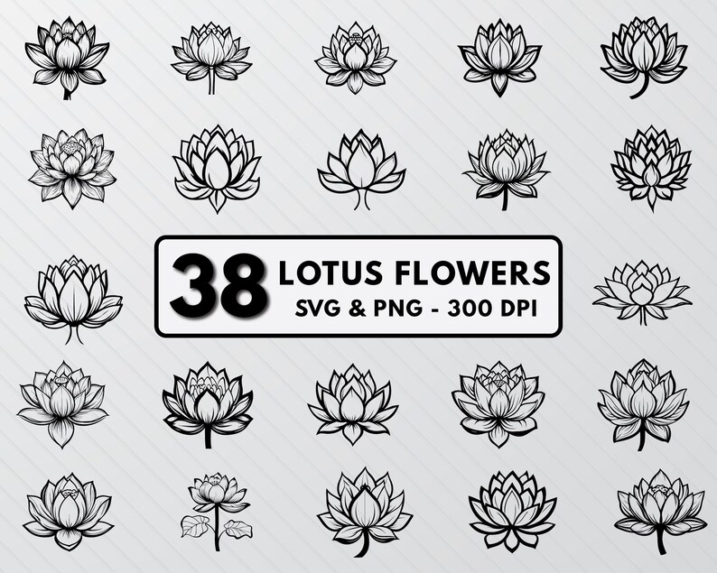 Lotus Flower SVG Bundle: Silhouette Clipart, Cut Files (PNG, Vector) - Etsy