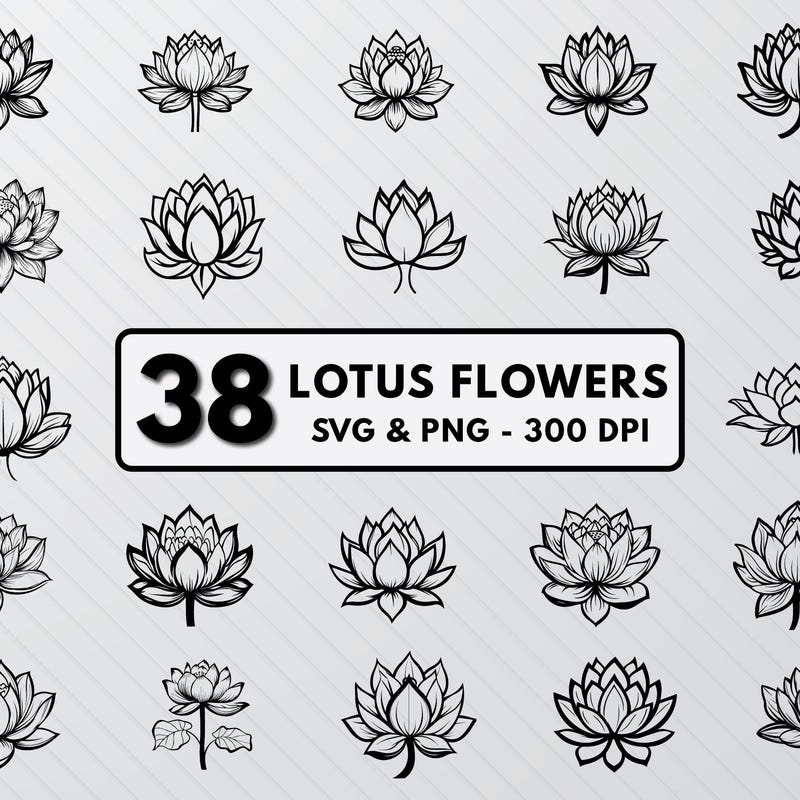 Lotus Outline - Etsy