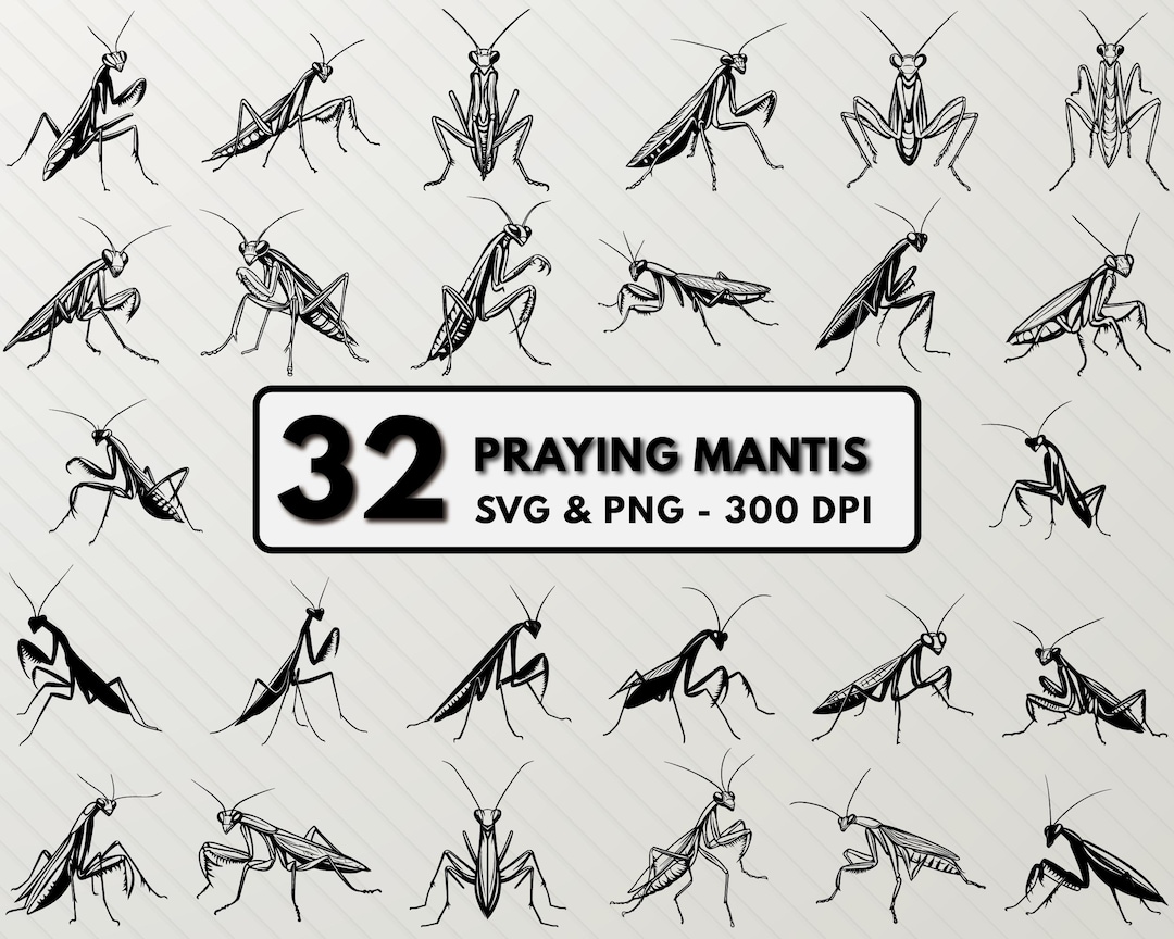 Praying Mantis Svg Bundle, Praying Mantis Silhouette, Mantis Svg Vector ...