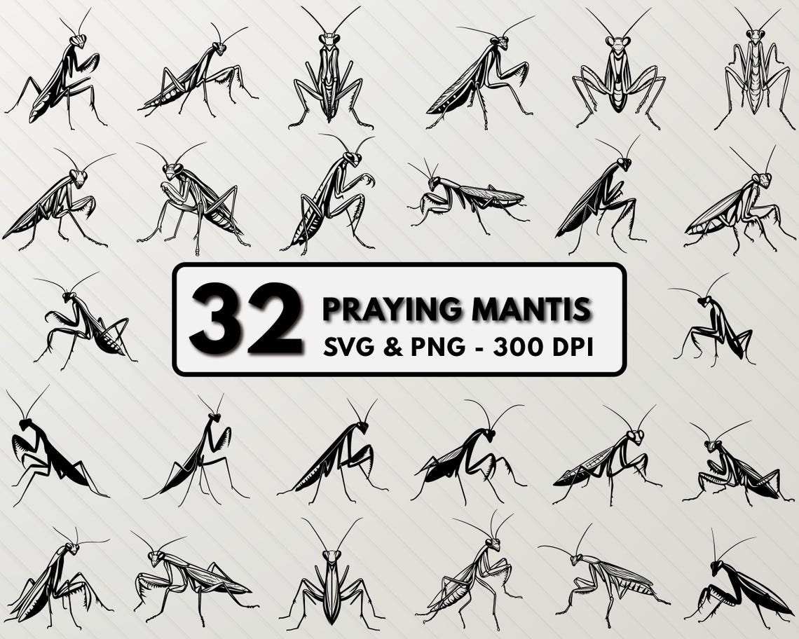 Praying Mantis Svg Bundle, Praying Mantis Silhouette, Mantis Svg Vector ...