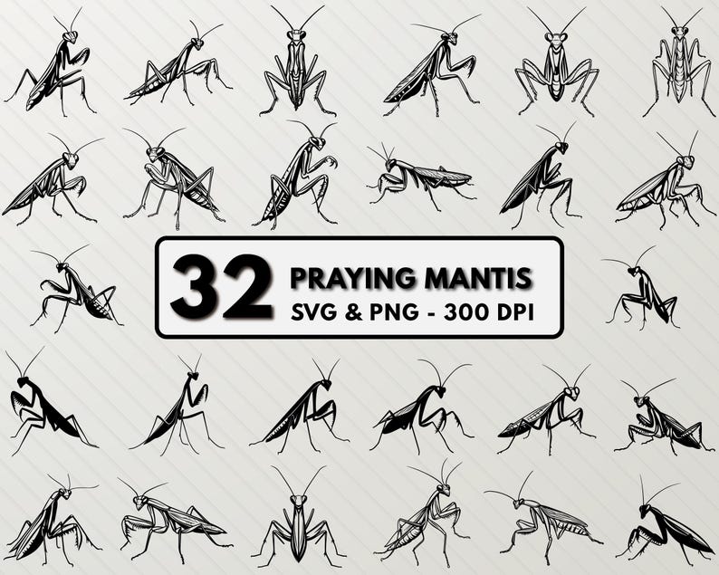 Praying Mantis Svg Bundle, Praying Mantis Silhouette, Mantis Svg Vector ...