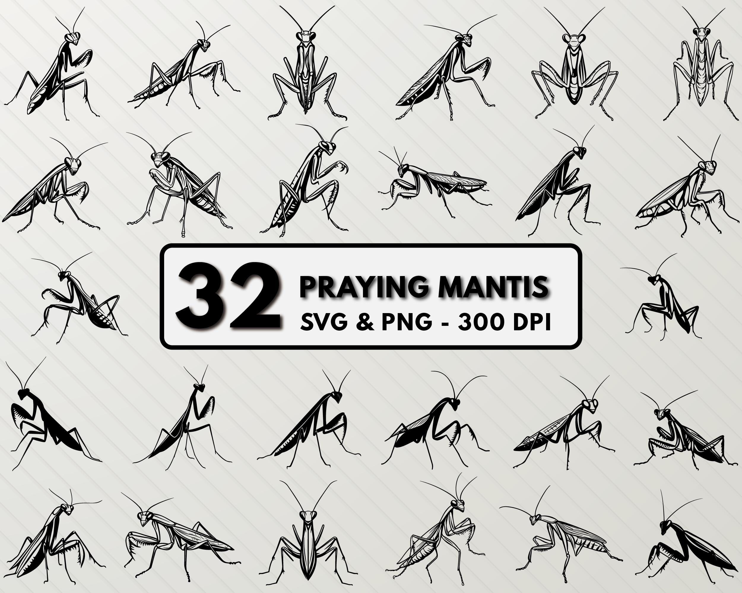 Praying Mantis Svg Bundle, Praying Mantis Silhouette, Mantis Svg Vector ...