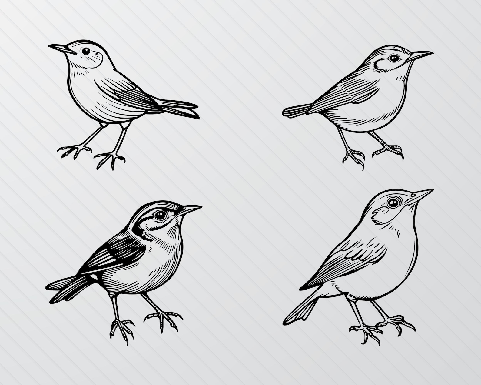 Wren Svg Bundle, Wren Bird Silhouette, Little Bird Line Art Svg Design ...