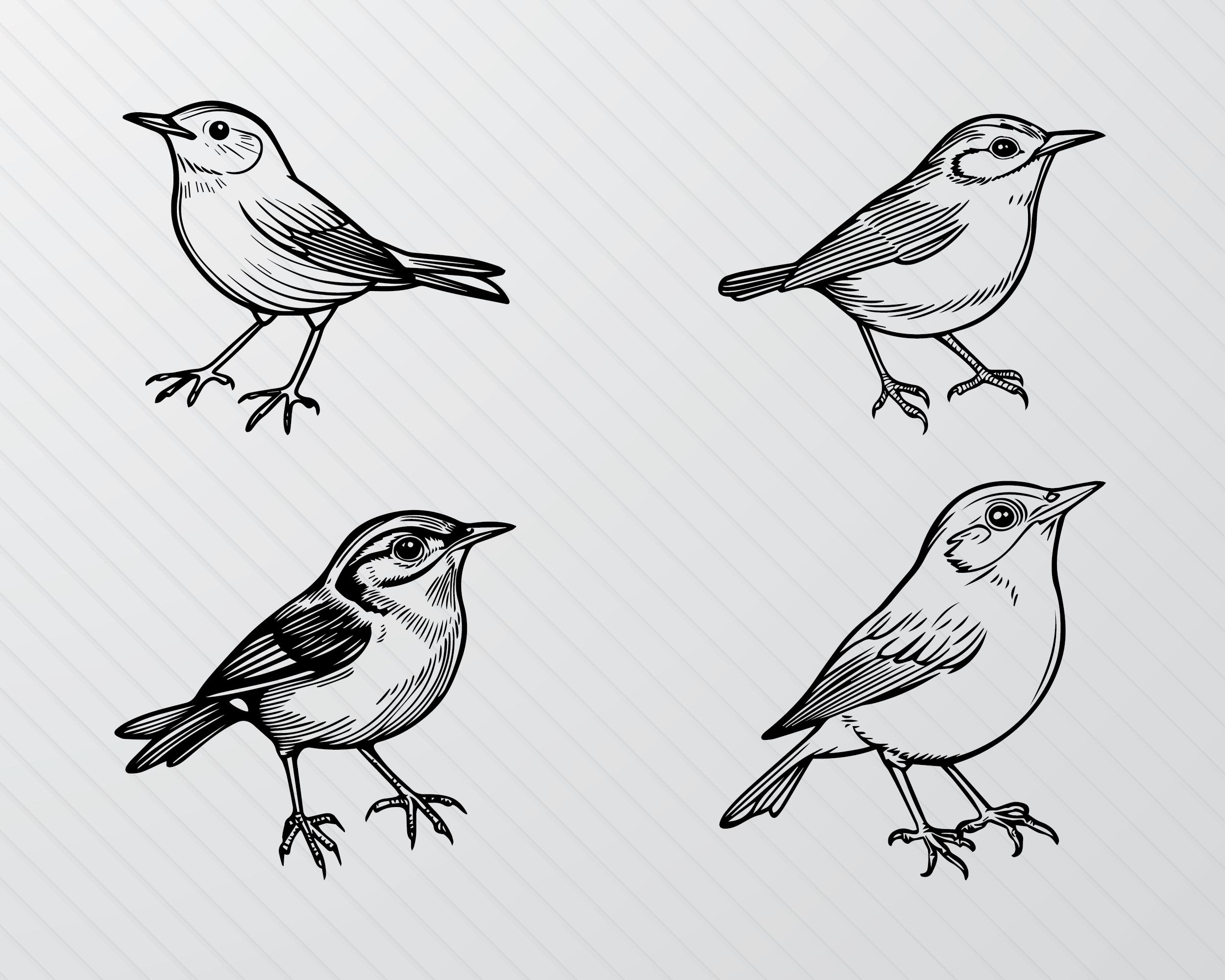 Wren Svg Bundle, Wren Bird Silhouette, Little Bird Line Art Svg Design ...