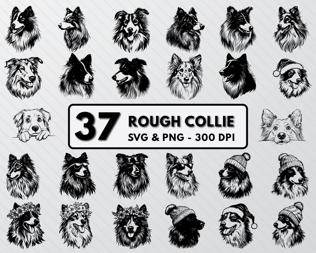 Rough Collie SVG Bundle: Dog Breed Clipart, Floral Puppies (PNG) - Etsy