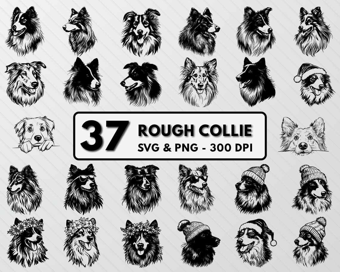 Rough Collie SVG Bundle: Dog Breed Clipart, Floral Puppies (PNG) - Etsy