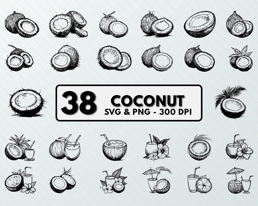 Coconut Clipart: Tropical SVG PNG Vector Designs (digital Download) - Etsy