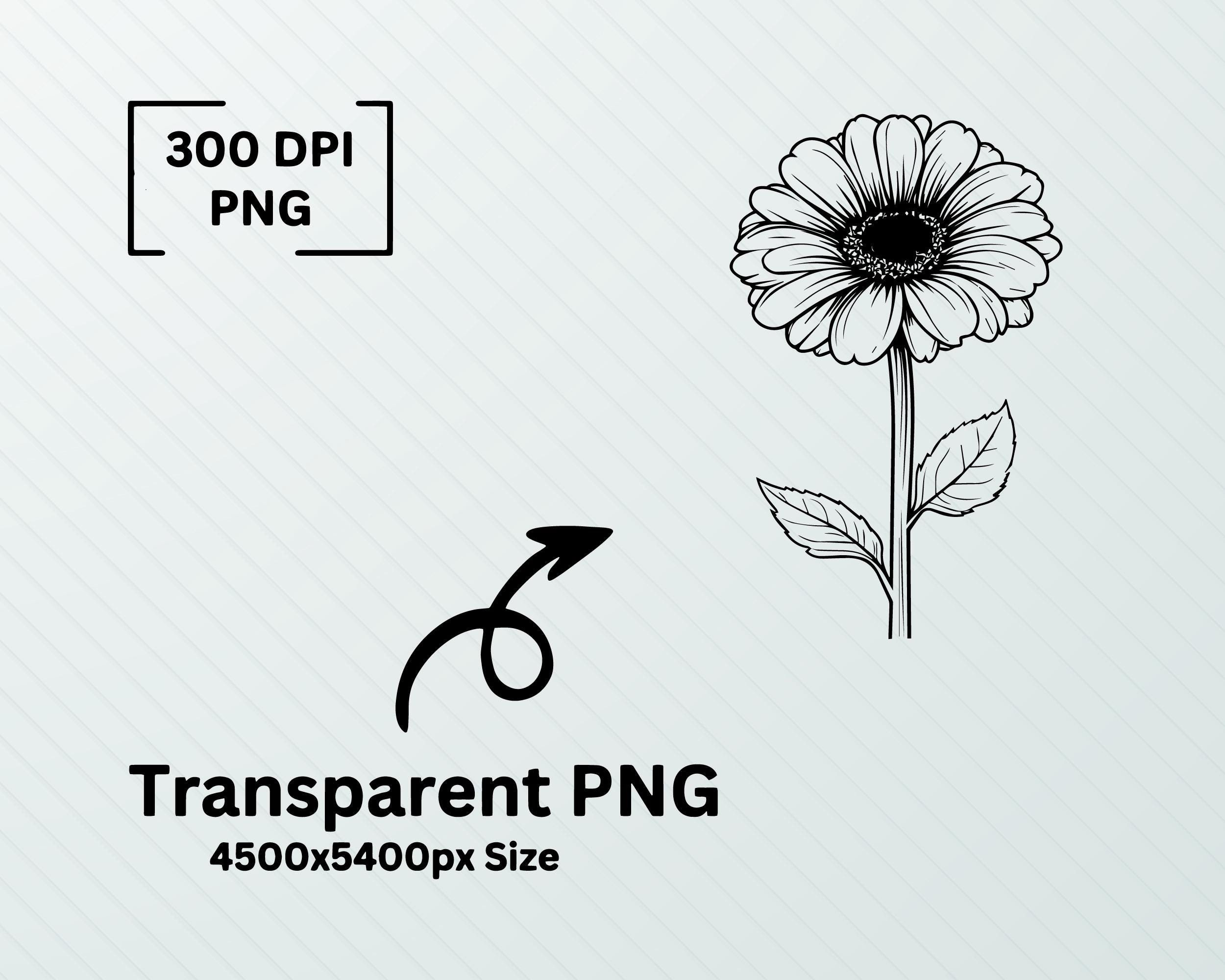 Gerbera Svg Png Bundle, Gerbera Clipart, Gerbera Flower Silhouette ...