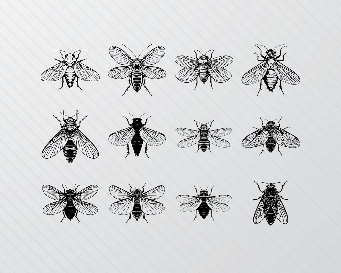 Cicada Silhouette SVG Bundle: Insect Clipart, Decal Vector (digital ...