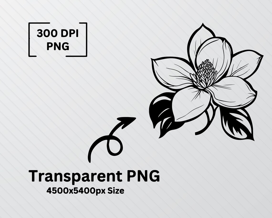 Magnolia Svg Bundle, Magnolia Silhouette Art, Magnolia Png Decal ...