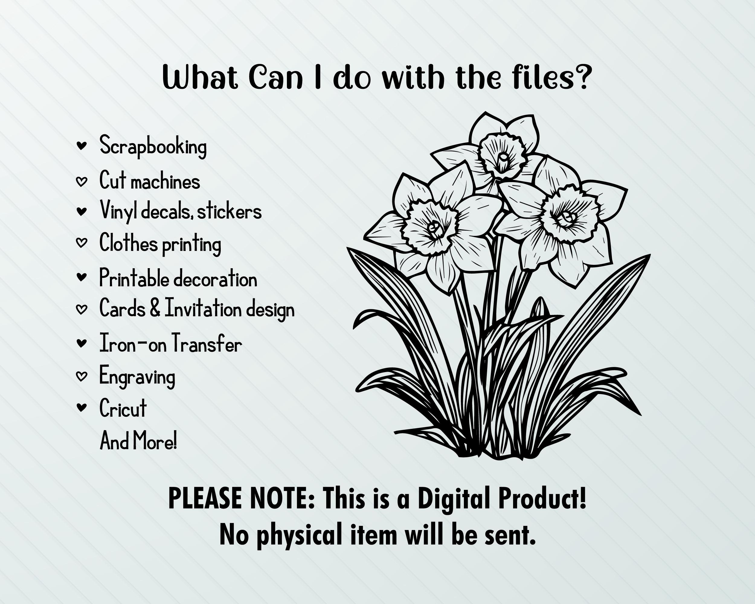 Daffodil Flower Svg, Daffodil Flower Png, Birth Month Flower, Narcissus ...