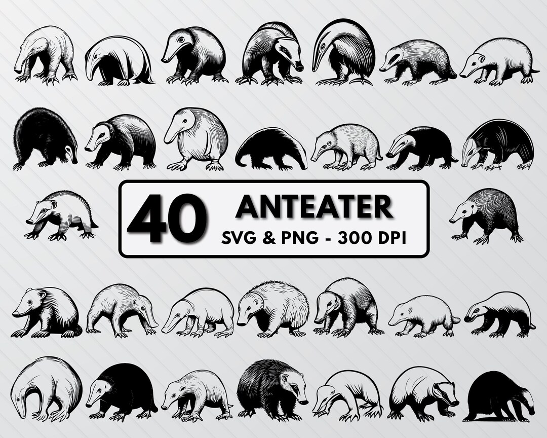 Anteater Silhouette Svg, Giant Anteater Svg Bundle, Cut File Clipart ...
