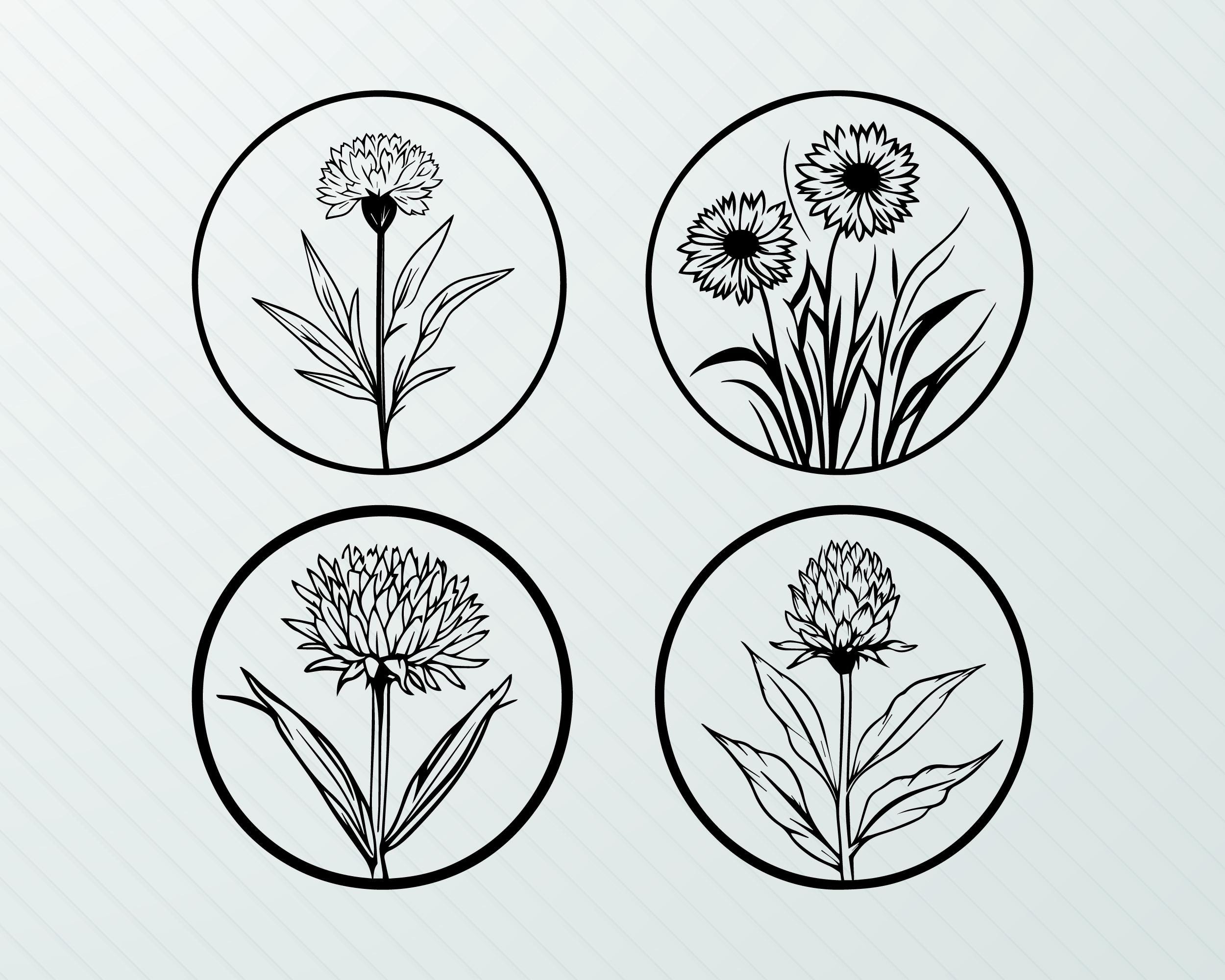 Cornflower Svg Png Bundle, Cornflower Silhouette, Cornflower Clipart, Cornflower Vector ...