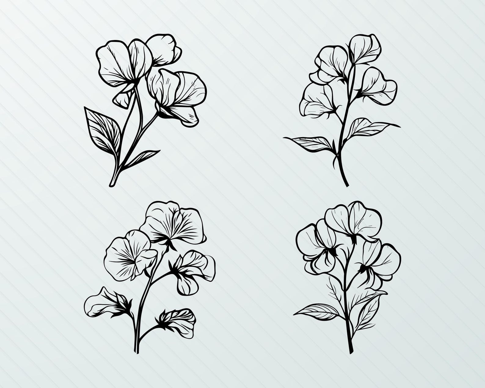 Sweet Pea Flower Svg Png, Sweet Pea Clipart, Floral Silhouette, Sweet ...
