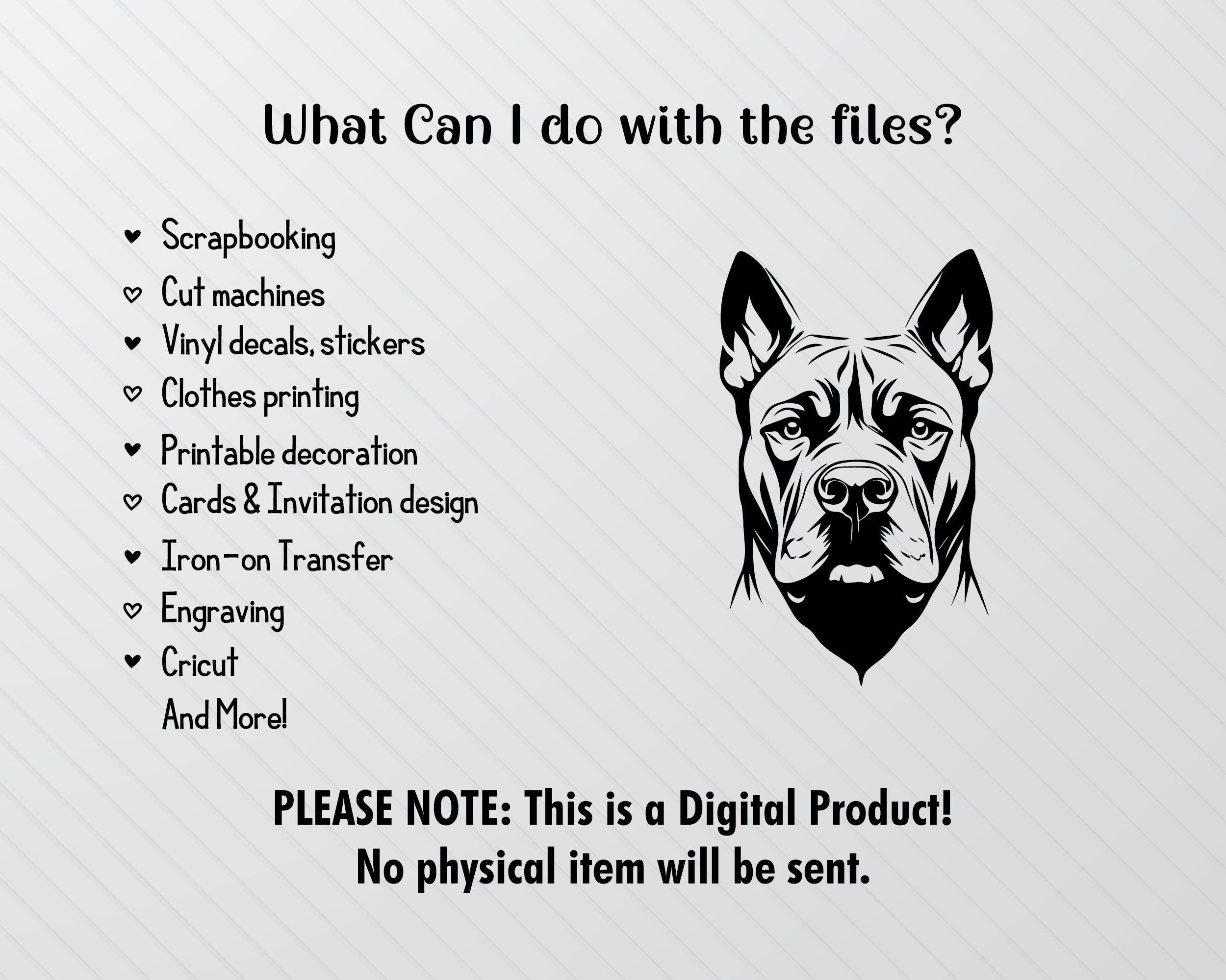 Cane Corso Dog Silhouette, Cane Corso Dogs Svg Bundle, Dogs Clipart ...