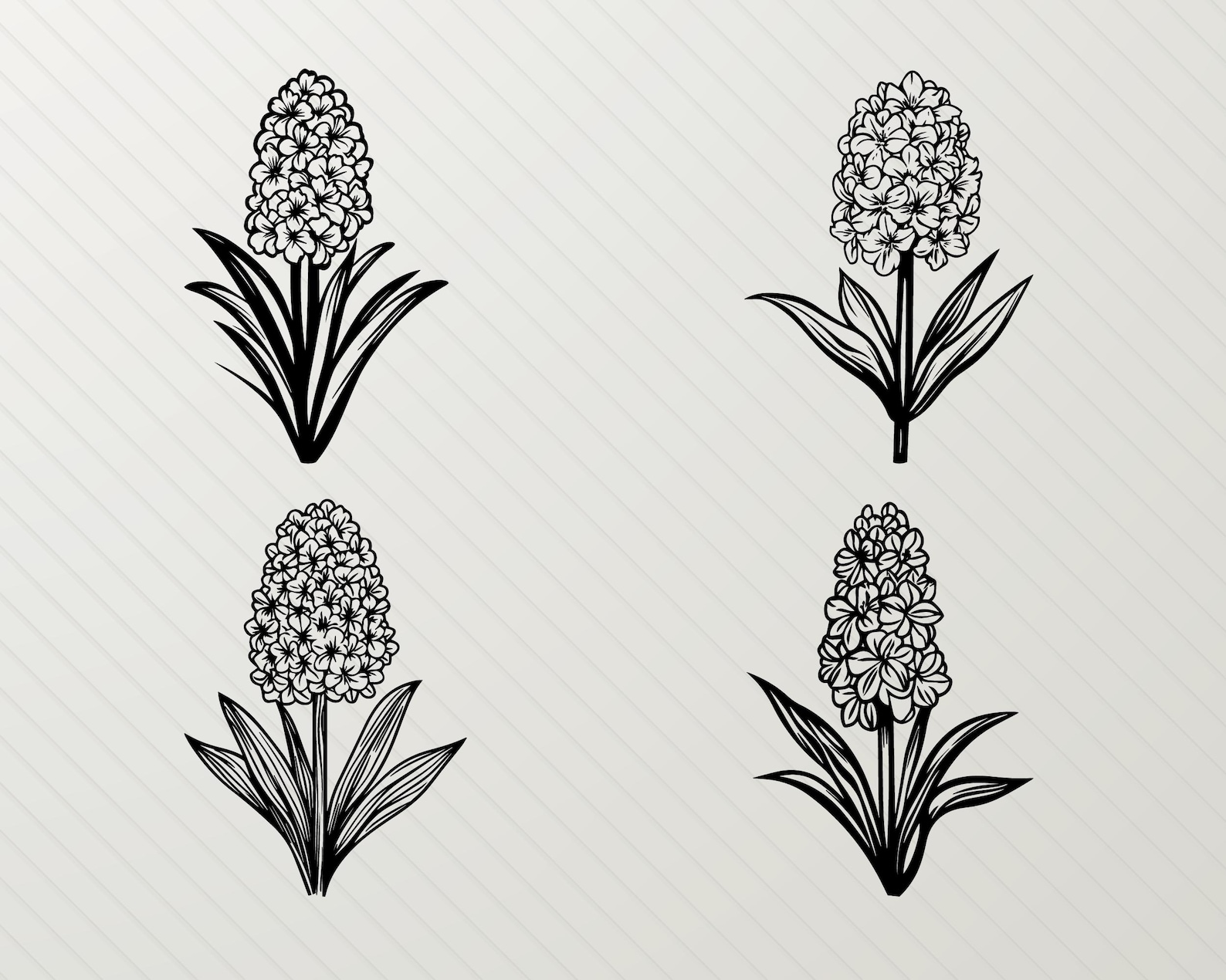 Hyacinth SVG Bundle: Spring Flower Clipart (PNG, Vector) - Etsy