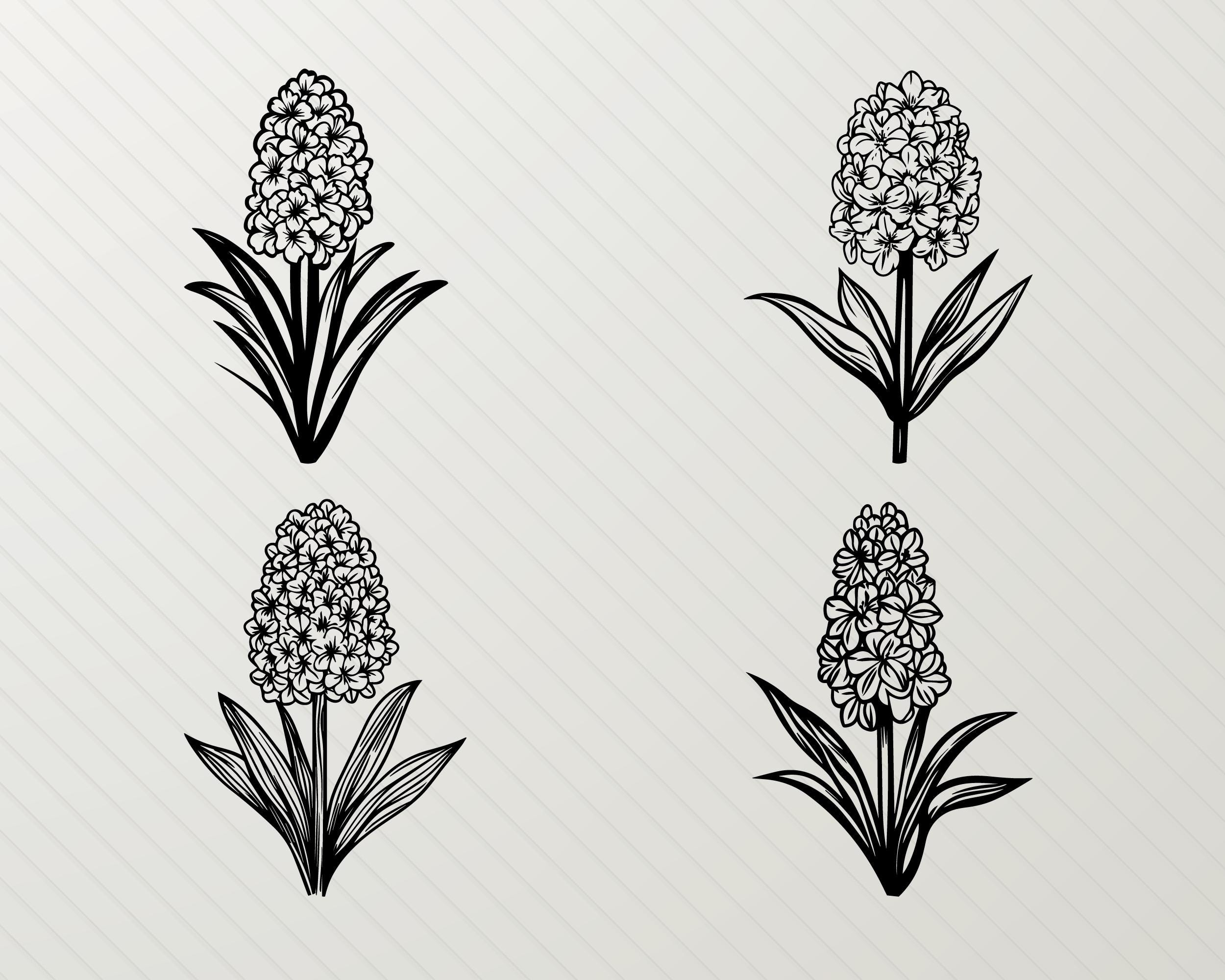 Hyacinth Svg Bundle, Hyacinth Silhouette, Dutch Hyacinth Svg Vector Png, Spring Flower Svg ...