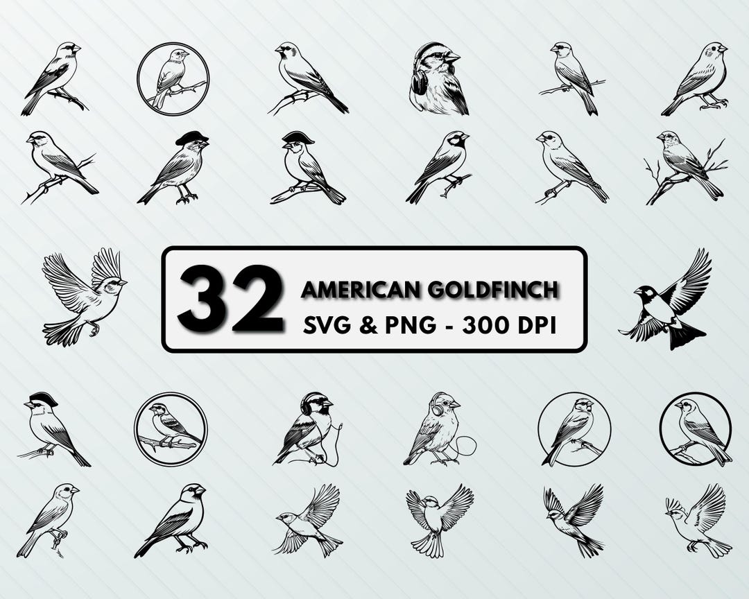 American Goldfinch Svg Png, American Goldfinch Clipart, American ...